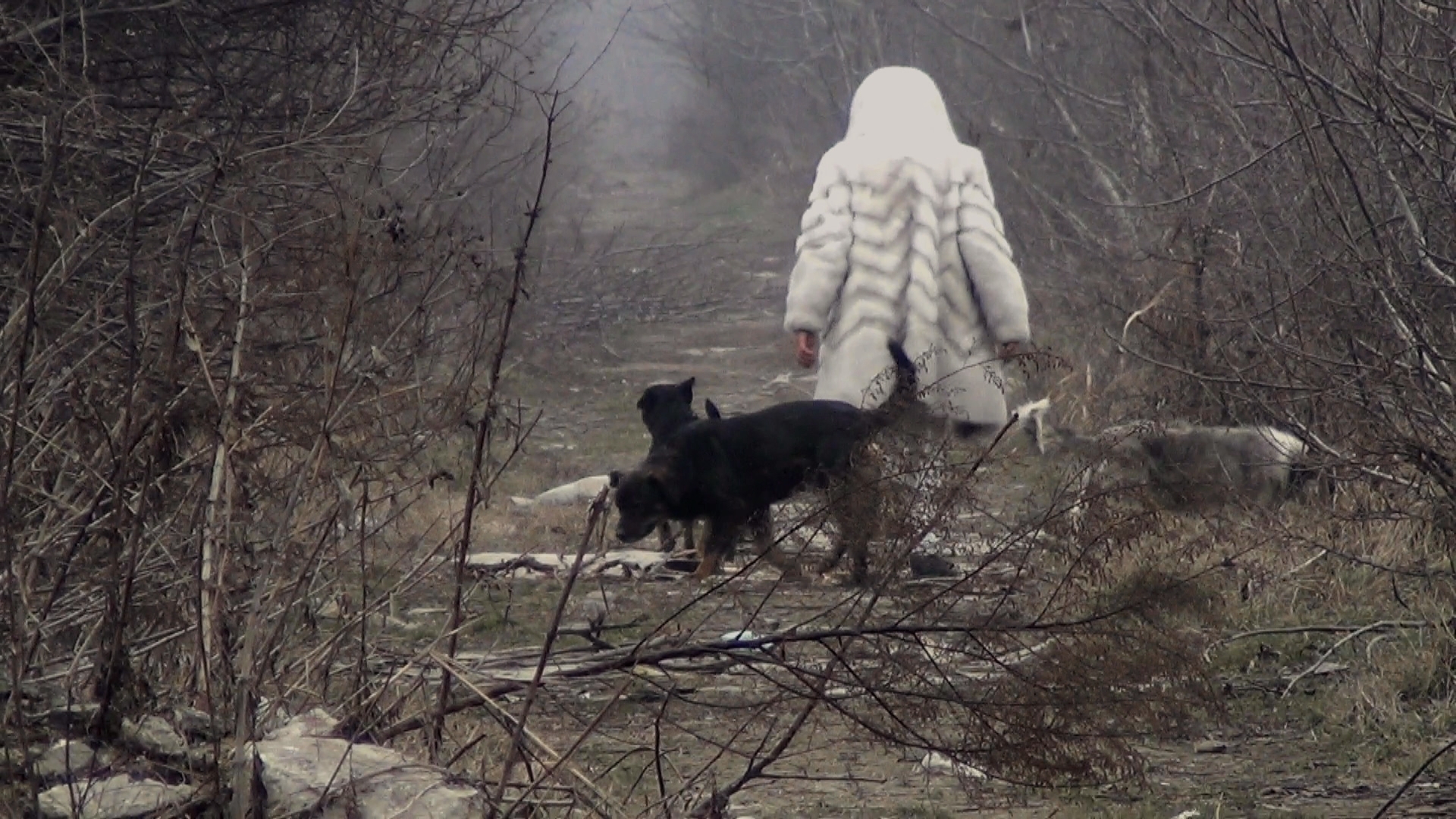 IULIAN. a True Story - altcineaction